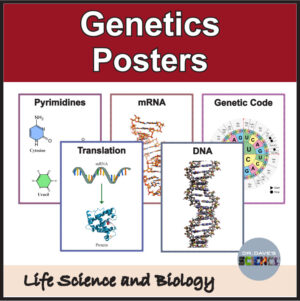 DNA and Genetics Posters - Made By Teachers
