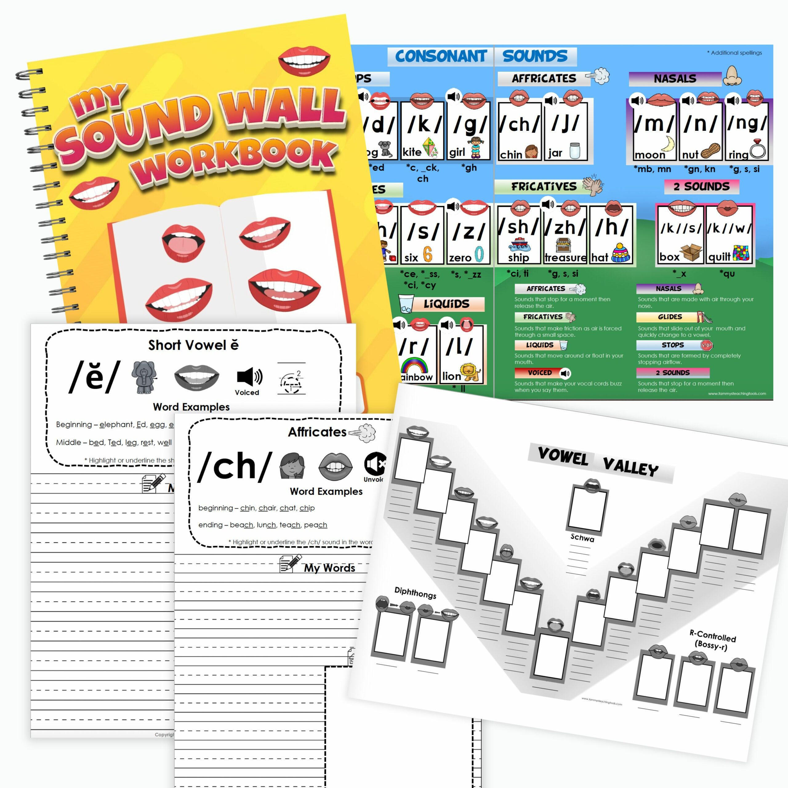 Personal Sound Wall Folder and Workbook Aligned with the Science of ...