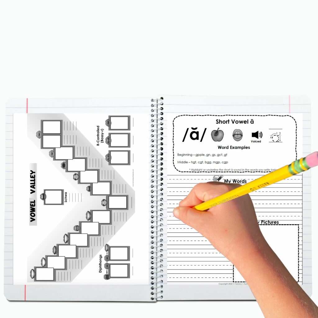 Personal Sound Wall Folder and Workbook Aligned with the Science of ...