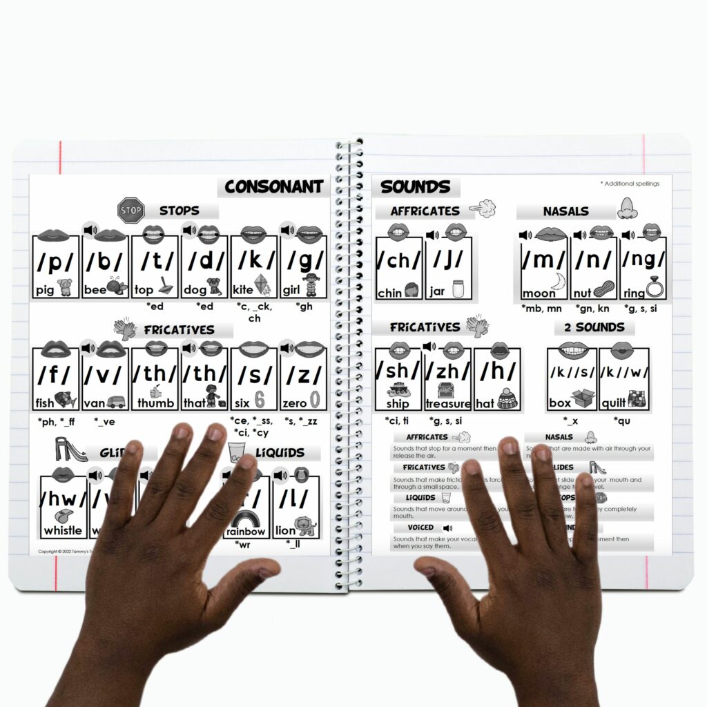 Personal Sound Wall Folder and Workbook Aligned with the Science of ...