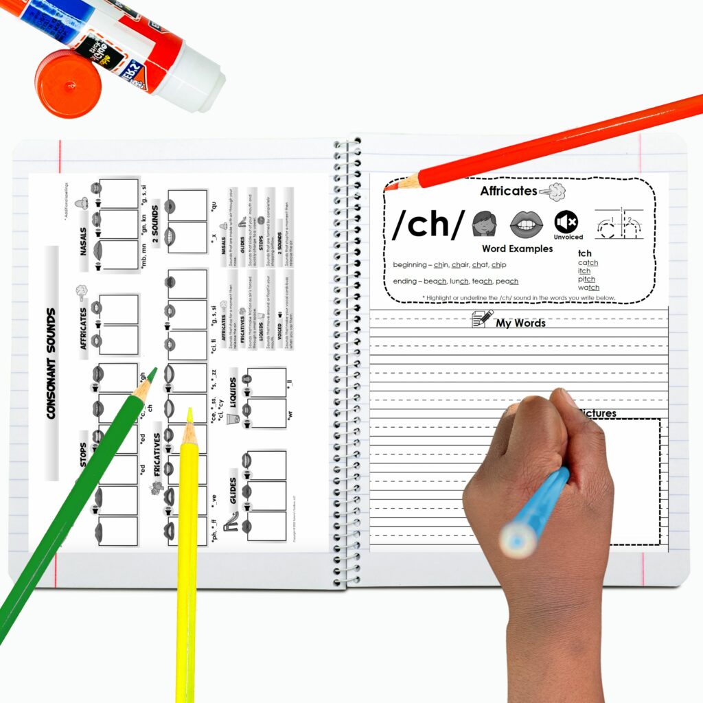 Personal Sound Wall Folder and Workbook Aligned with the Science of ...
