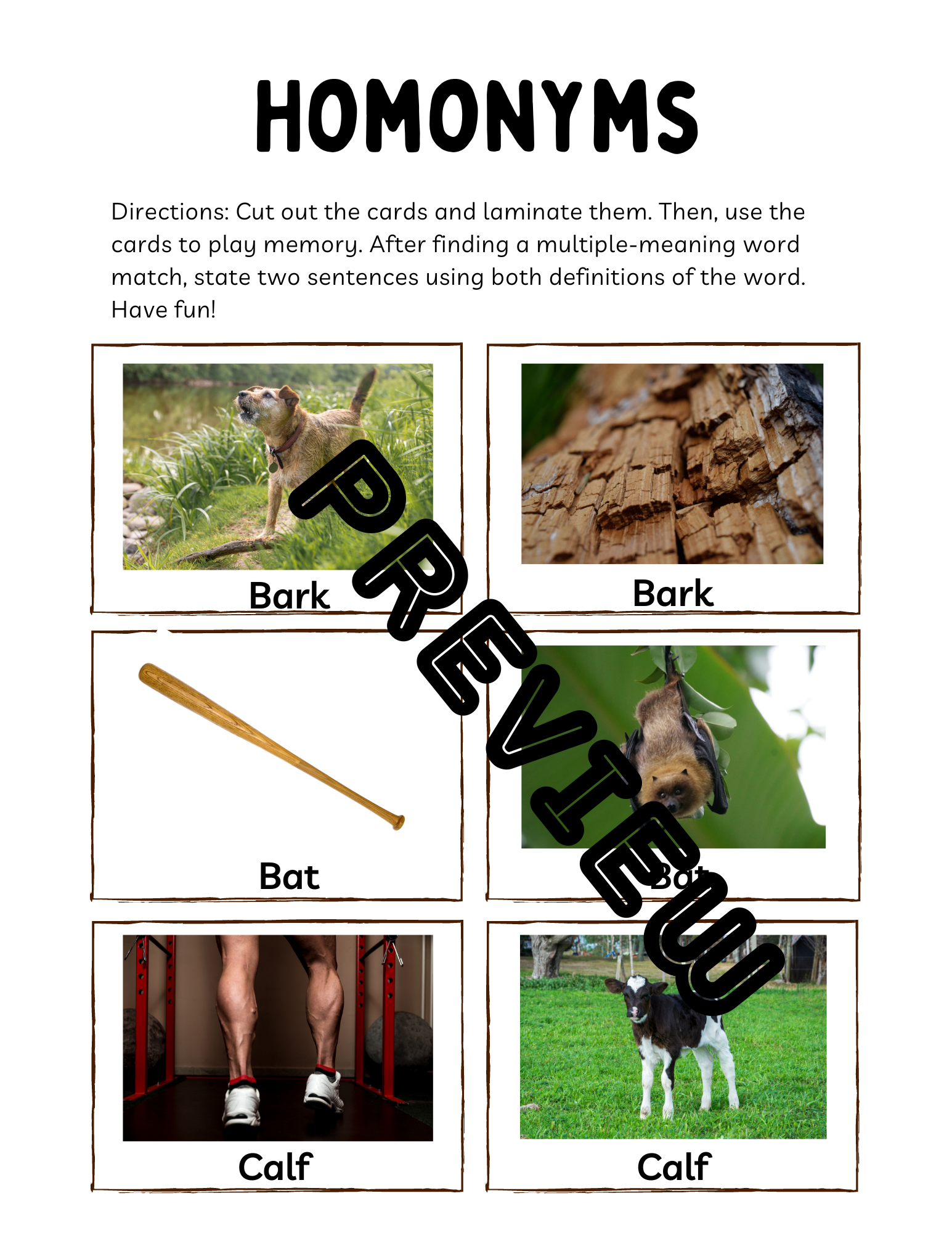 Multiple Meaning Words Homophones And Homonyms | Made By Teachers