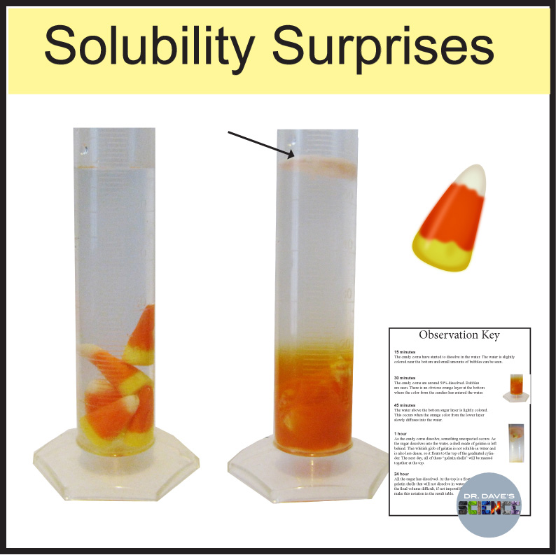 Thanksgiving Science Candy Corn Science - Made By Teachers