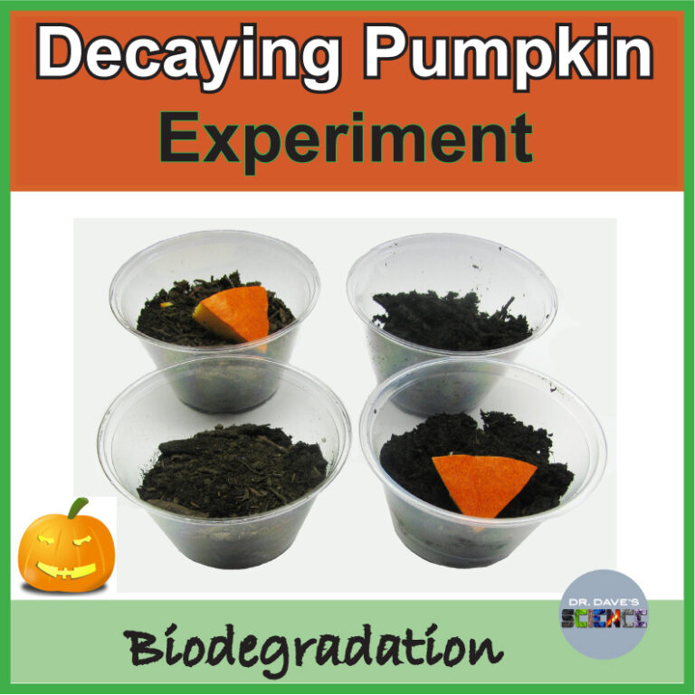 Pumpkin and Halloween Science | Made By Teachers
