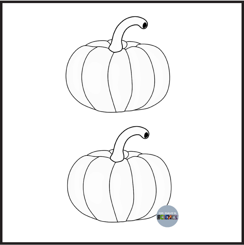 Halloween Science Activity Water Pumpkins - Made By Teachers