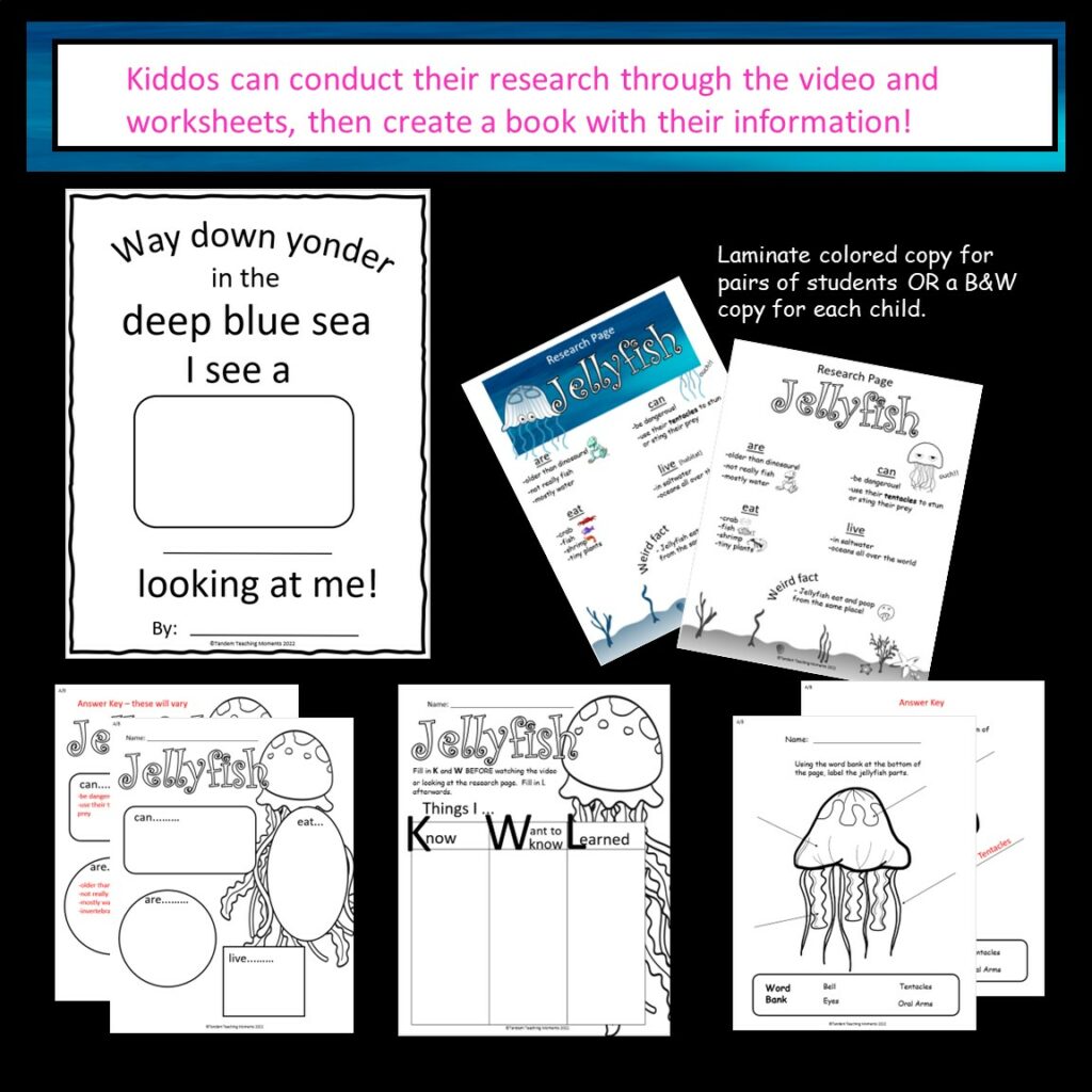 Jellyfish Research Book for primary grades & video, K-3rd | Made By ...