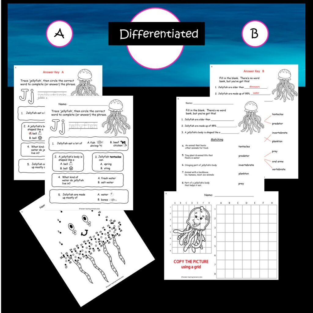 Jellyfish Research Book for primary grades & video, K-3rd | Made By ...