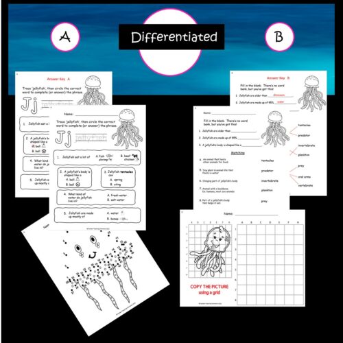 Jellyfish Research Book for primary grades & video, K-3rd | Made By ...