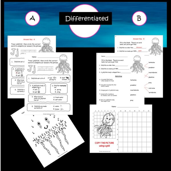 Jellyfish Research Book for primary grades & video, K-3rd | Made By ...