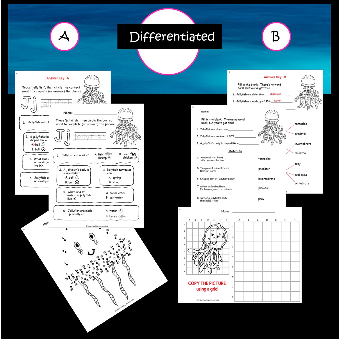 Jellyfish Research Book for primary grades & video, K-3rd | Made By ...