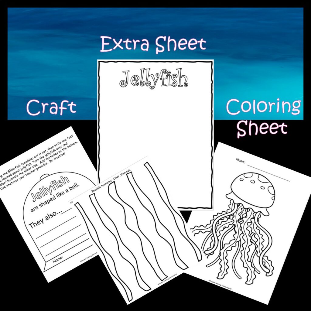 Jellyfish Research Book for primary grades & video, K-3rd | Made By ...