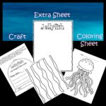 Jellyfish Research Book for primary grades & video, K-3rd | Made By ...