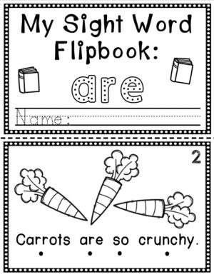 Sight Word Flip Book (Flipbook) - ARE - Made By Teachers