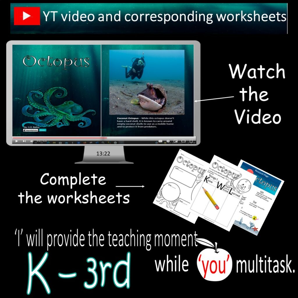 Octopus Research Book for primary grades w/video K-3rd | Made By Teachers