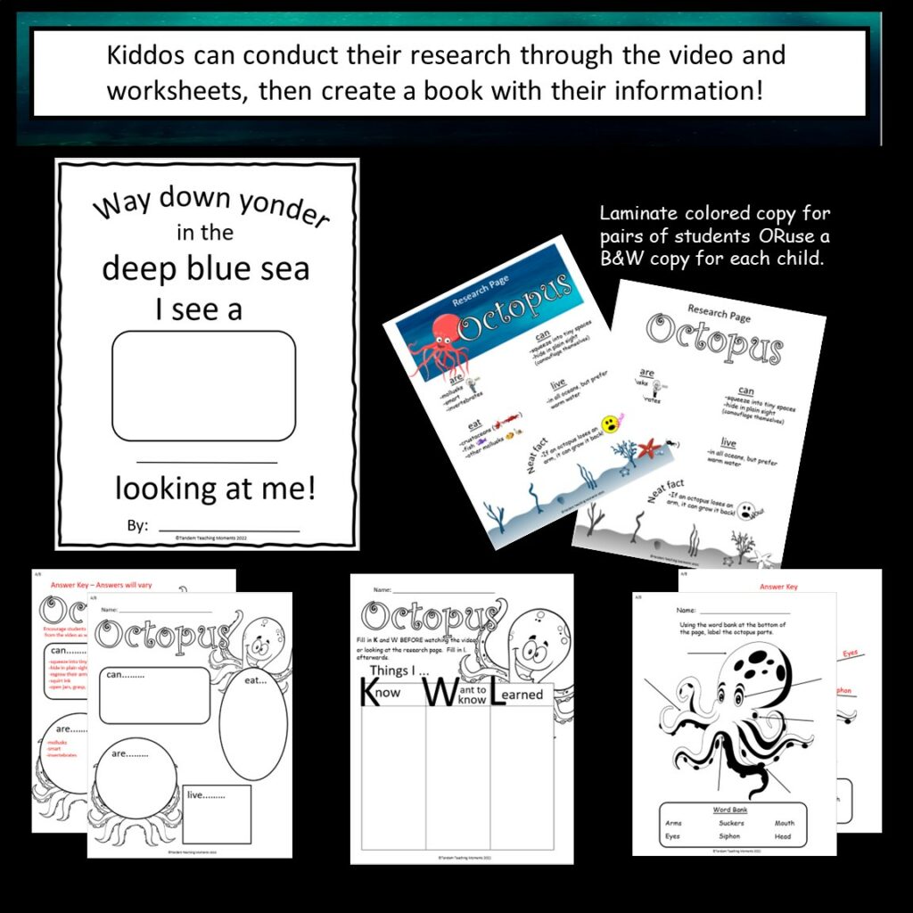 Octopus Research Book for primary grades w/video K-3rd | Made By Teachers