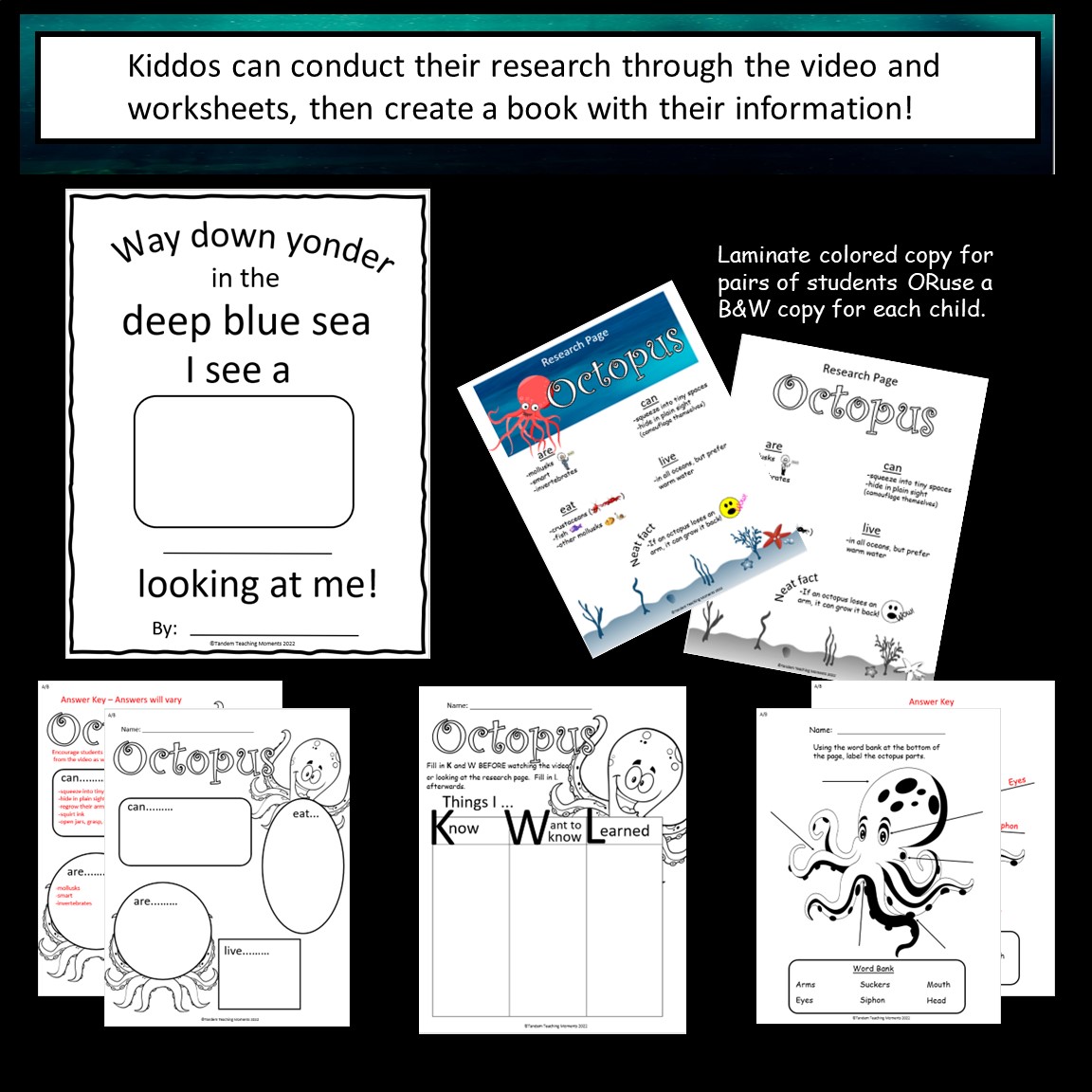 Octopus Research Book for primary grades w/video K-3rd | Made By Teachers