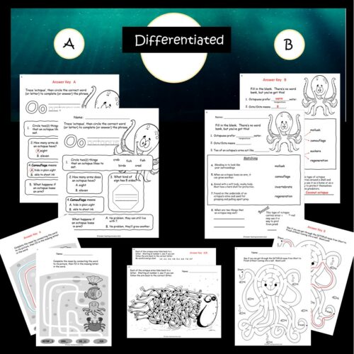 Octopus Research Book for primary grades w/video K-3rd | Made By Teachers