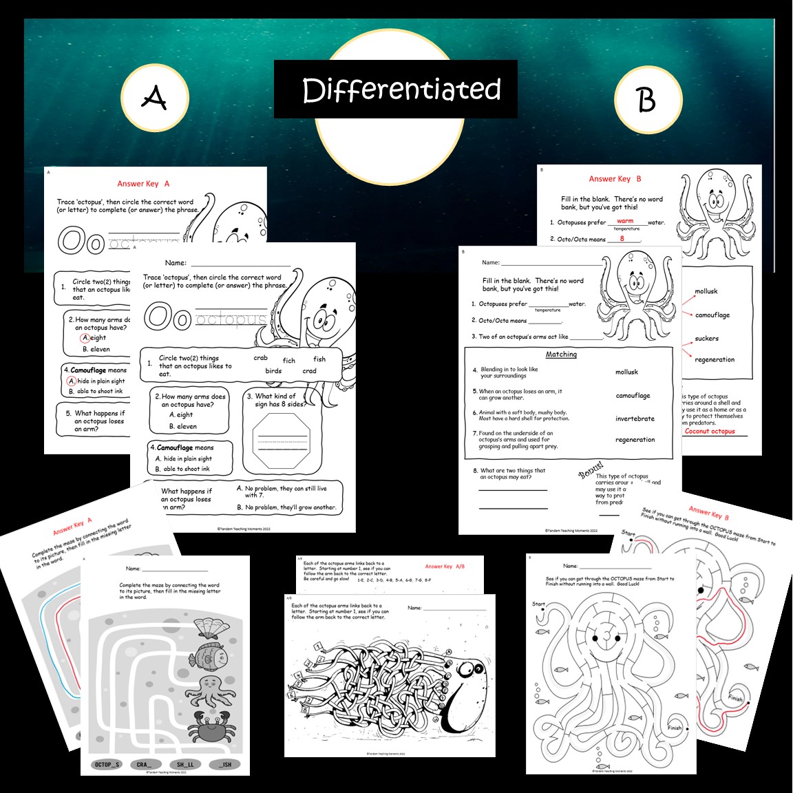 Octopus Research Book for primary grades w/video K-3rd | Made By Teachers