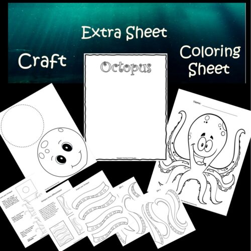 Octopus Research Book for primary grades w/video K-3rd | Made By Teachers