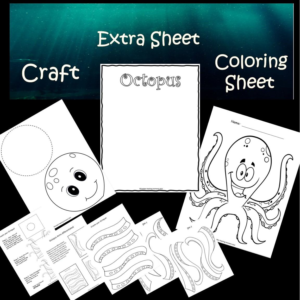 Octopus Research Book for primary grades w/video K-3rd | Made By Teachers