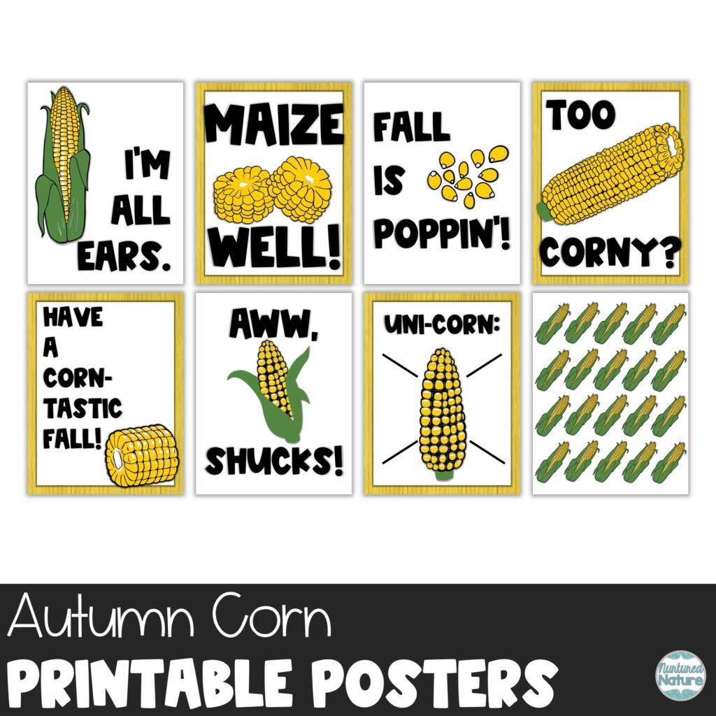 Corn Fall Bulletin Board Posters - Autumn Classroom Decor Set | Made By ...