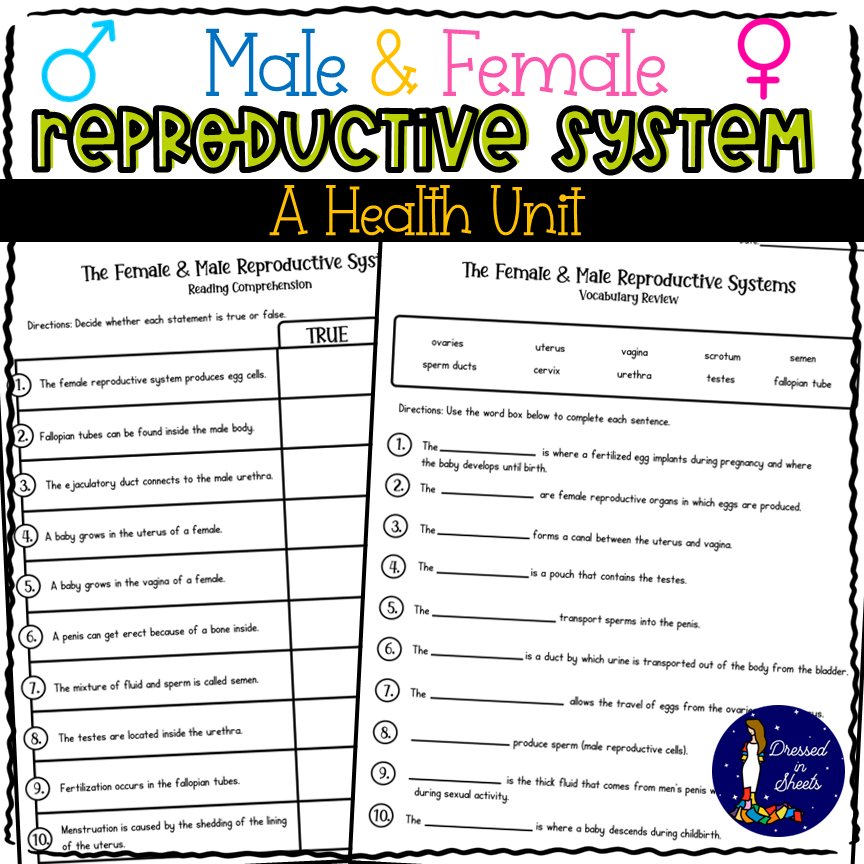 Male and Female Reproductive Systems A Health Unit - Made By Teachers