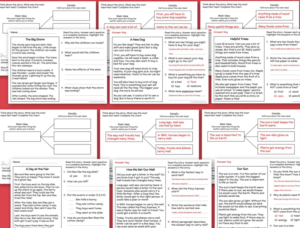 Main Idea and Supporting Details Passages and Activities 2nd Grade ...