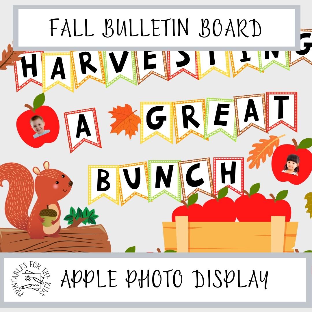 Bulletin Board - Made By Teachers