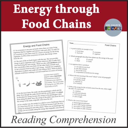 Food Chains Ecology Reading Comprehension - Made By Teachers