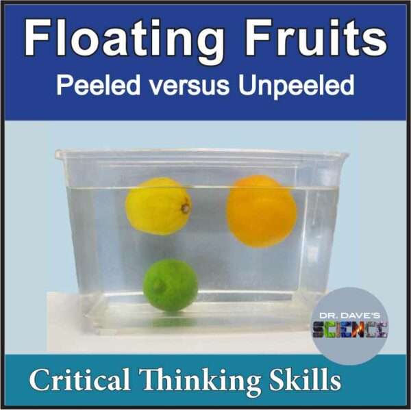 Sink or Float Activity with Fruits - Made By Teachers