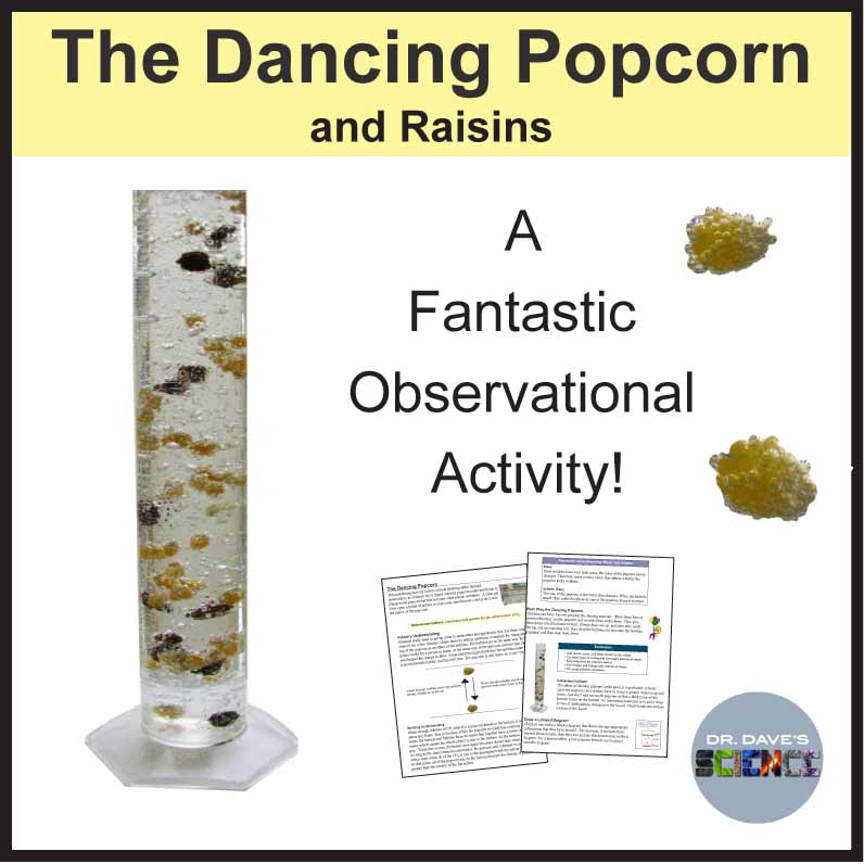 Sink or Float Activity with Fruits - Made By Teachers