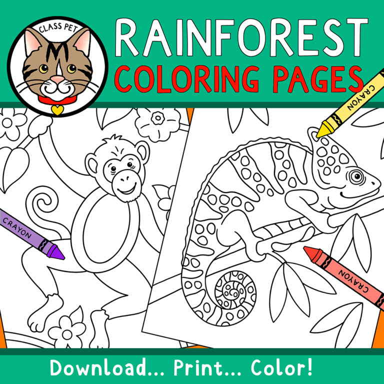 Rainforest Coloring Pages | Made By Teachers