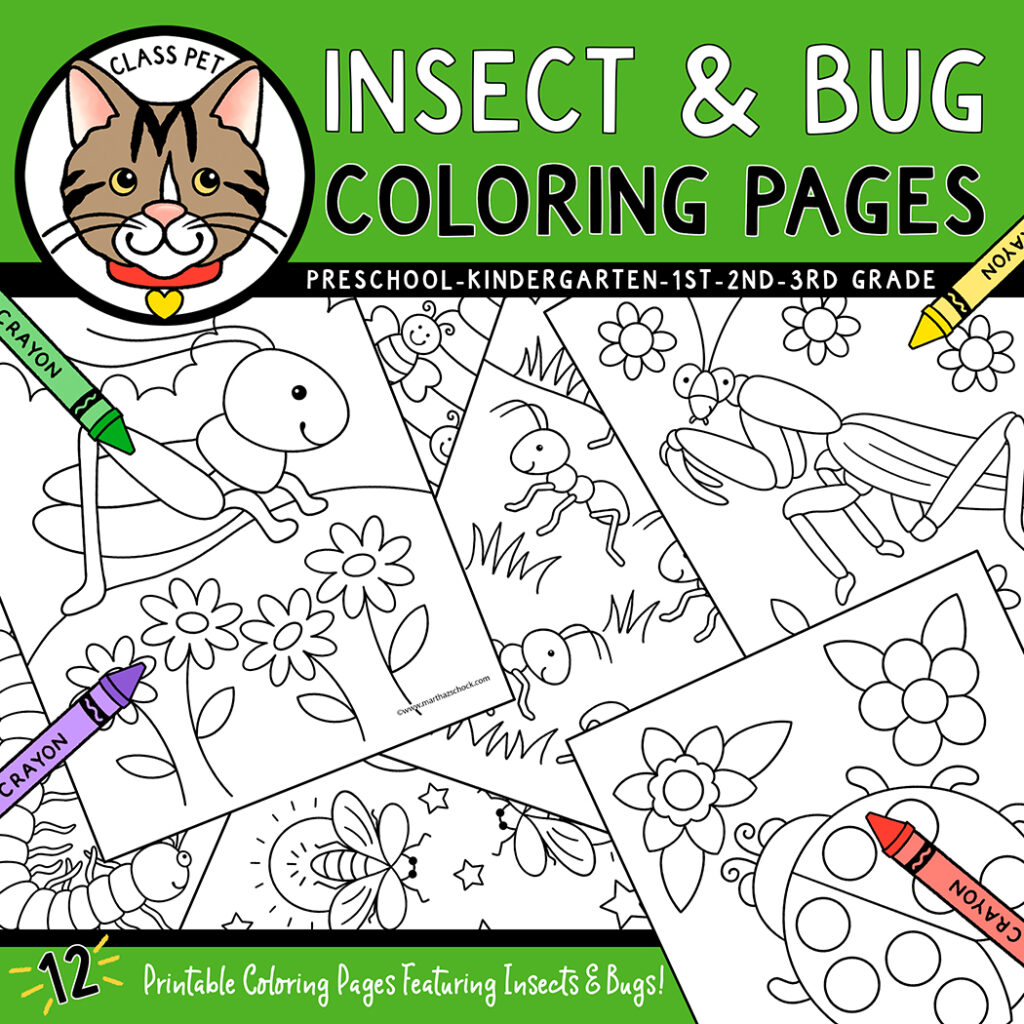 Insect and Bug Coloring Pages - Made By Teachers
