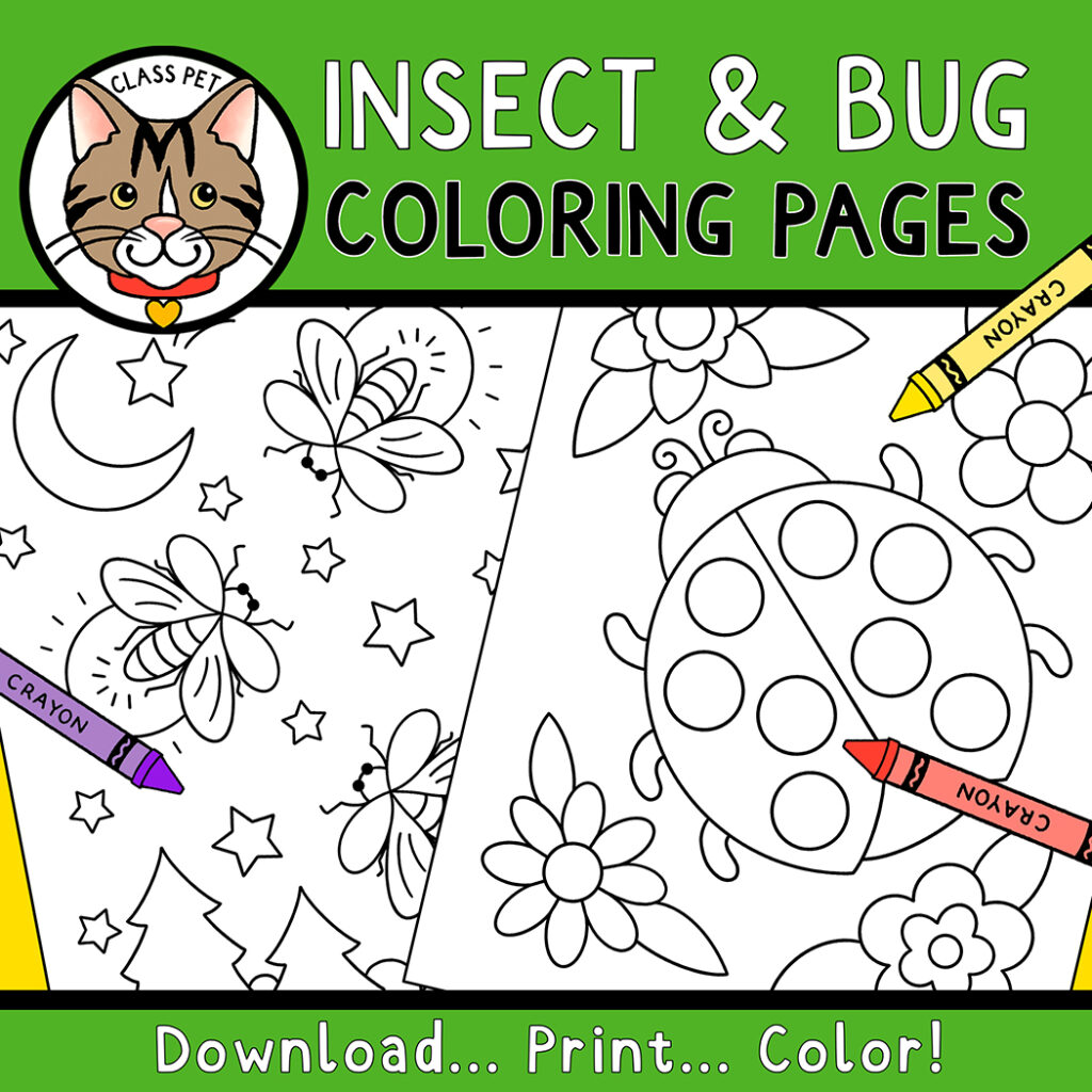 Insect and Bug Coloring Pages | Made By Teachers