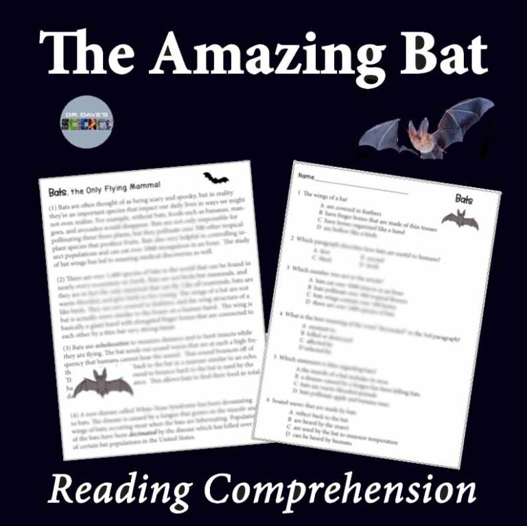 Bats Reading Comprehension Informational Passage Bats - Made By Teachers