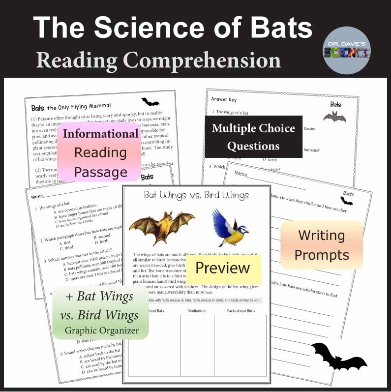 Bats Reading Comprehension Informational Passage Bats - Made By Teachers