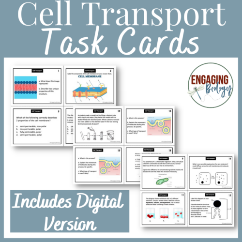 Cell Transport Osmosis and Diffusion Task Cards - Made By Teachers