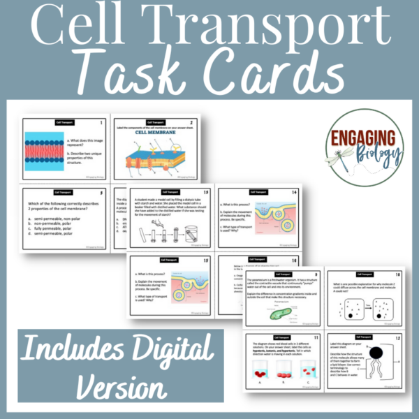 Cell Transport Osmosis and Diffusion Task Cards - Made By Teachers