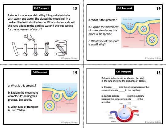 Cell Transport Osmosis and Diffusion Task Cards | Made By Teachers