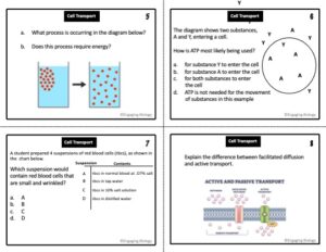 Cell Transport Osmosis and Diffusion Task Cards - Made By Teachers