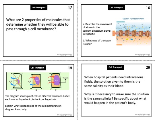 Cell Transport Osmosis and Diffusion Task Cards - Made By Teachers
