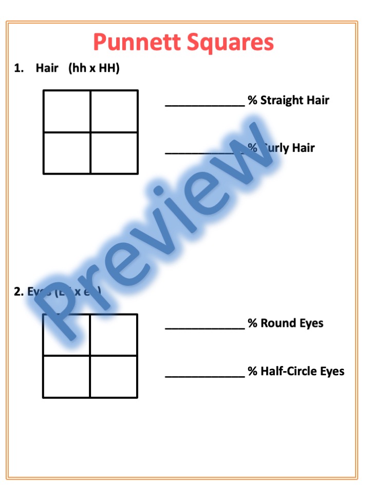 Robot Heredity (Punnett Squares, Phenotypes, Genotypes, Offspring ...