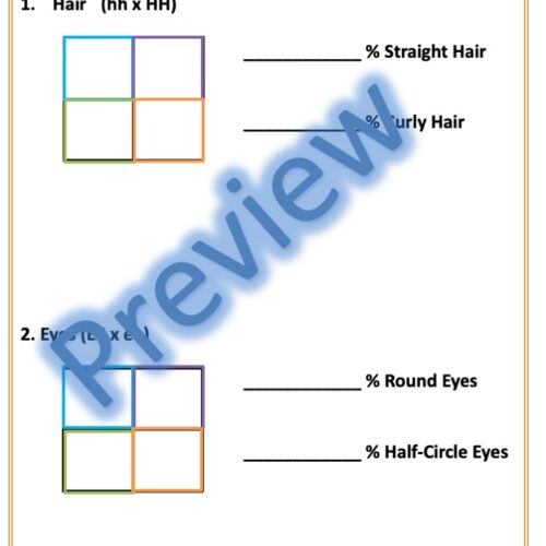 Robot Heredity (Punnett Squares, Phenotypes, Genotypes, Offspring ...