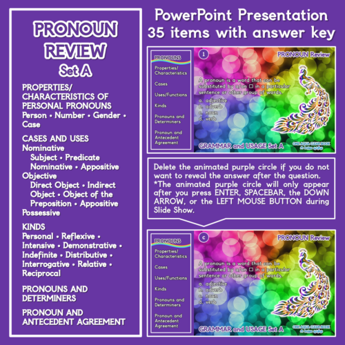 Pronoun Review (Set A) PowerPoint Presentation | Made By Teachers