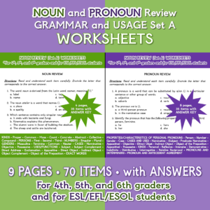 Noun and Pronoun Review (Set A) Worksheets - Made By Teachers