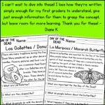 Day of the Dead Dia de los Muertos Holidays Reading Comprehension ...