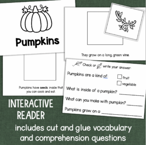 PUMPKINS Decodable Readers Comprehension Sight Words | Made By Teachers