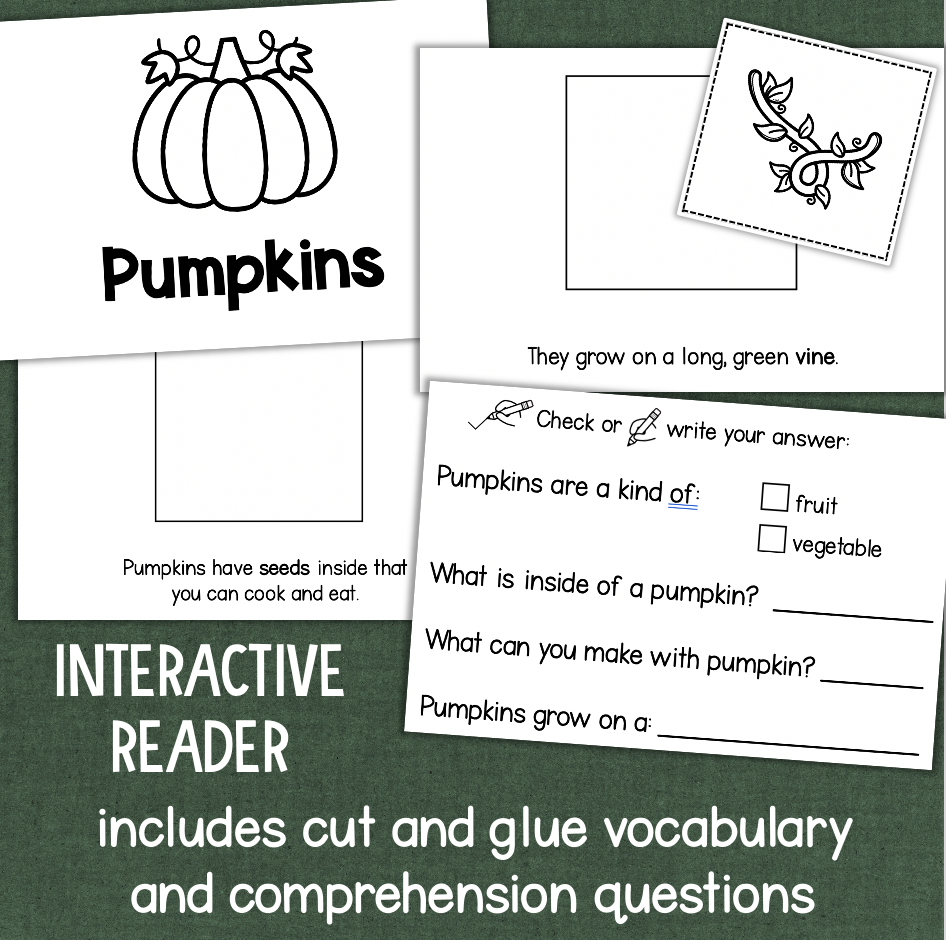 PUMPKINS Decodable Readers Comprehension Sight Words - Made By Teachers