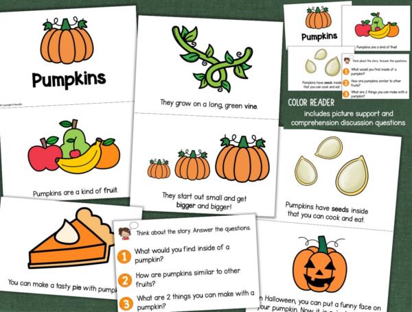 PUMPKINS Decodable Readers Comprehension Sight Words - Made By Teachers