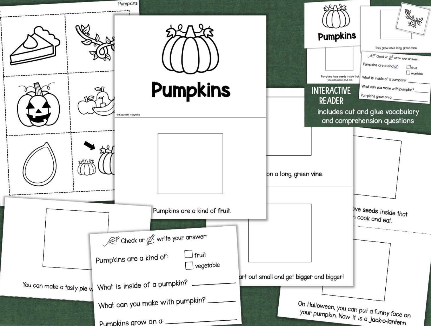 PUMPKINS Decodable Readers Comprehension Sight Words - Made By Teachers